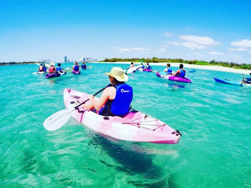 Gold Coast: Kayaking & Snorkelling Tour with Fish Feeding - Key Points