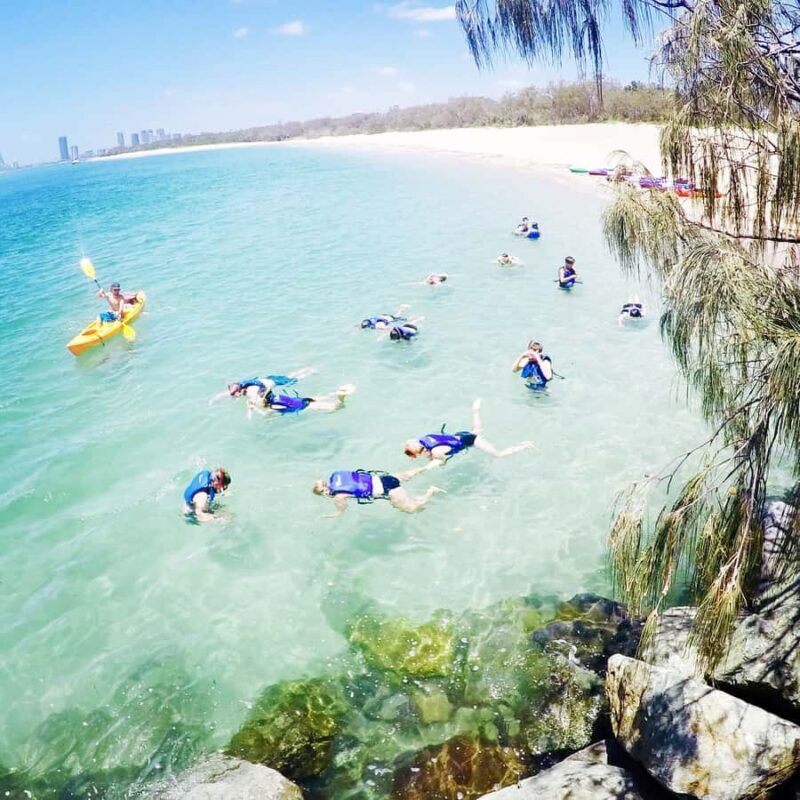 Gold Coast: Kayaking & Snorkelling Tour with Fish Feeding - Final Thoughts