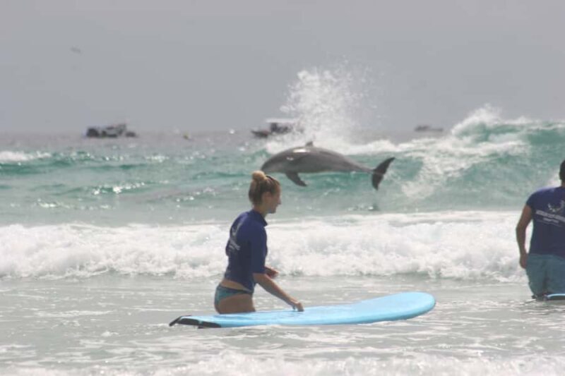Gold Coast: Learn to Surf Experience with Lunch & Activities - What to Expect from This Gold Coast Adventure