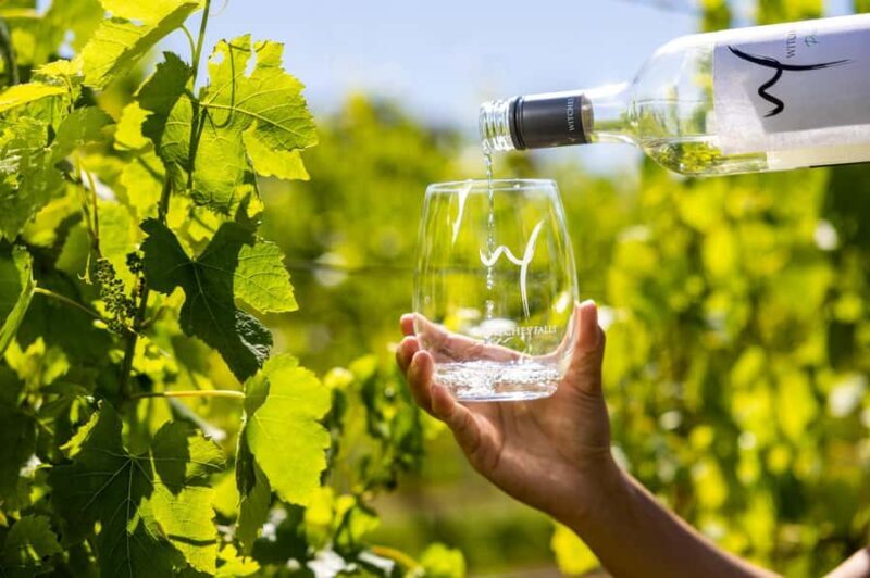 Gold Coast: Luxury Wine Tour with Gourmet Lunch & Distillery - FAQ