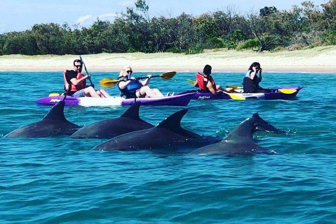 Gold Coast: Morning Kayak & Snorkel Adventure with Breakfast - Key Points