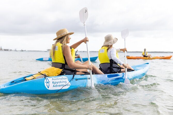 Gold Coast: Morning Kayak & Snorkel Adventure with Breakfast - The Balance of Value and Experience