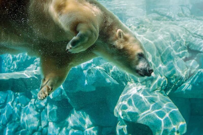 Gold Coast: Movie World, Sea World, Wet'n'Wild 14-Day Pass - FAQ