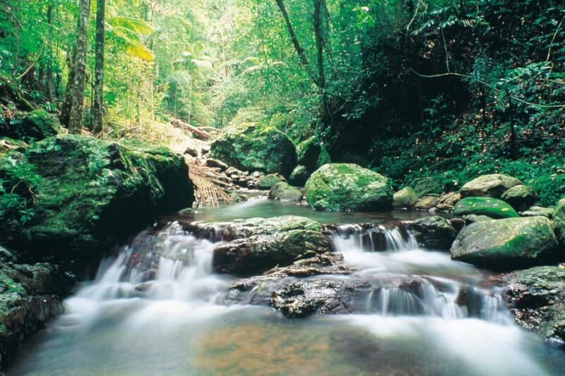 Gold Coast: Natural Bridge Glow Worm Night Tour - FAQ