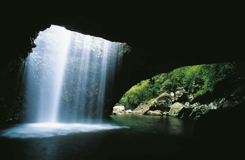 Gold Coast: Natural Bridge & Springbrook Waterfalls Tour - An In-Depth Look at the Tour Experience