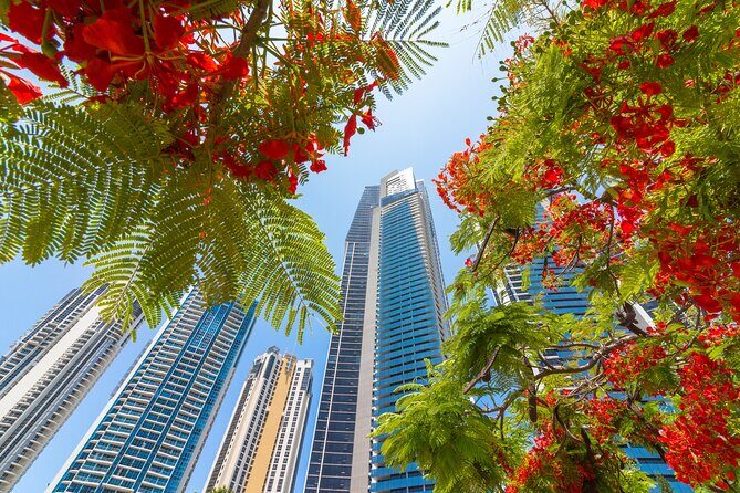 Gold Coast Photography Course For Beginners - The Value of the Price Point