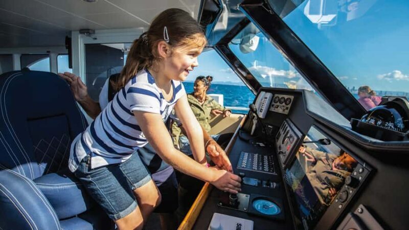 Gold Coast: Premium Whale Watching Cruise - The Sum Up