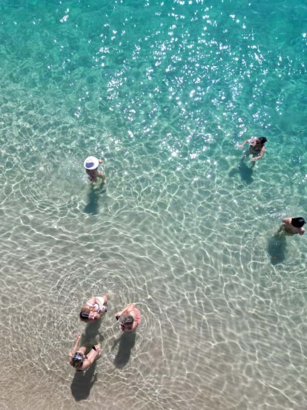 Gold Coast: Private Catamaran & Island Lunch - Scenic Return and Wildlife Encounters