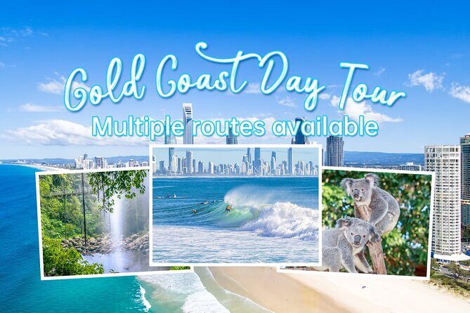 Gold Coast Private Customize One Day Tour - The Itinerary in Detail: What to Expect
