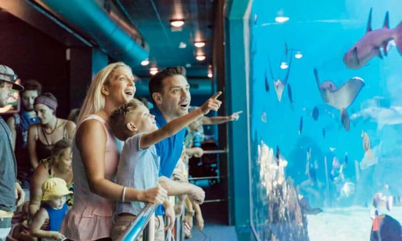 Gold Coast: Sea World Cruise & Entry Combo Ticket - The Real Value of This Combo Experience  