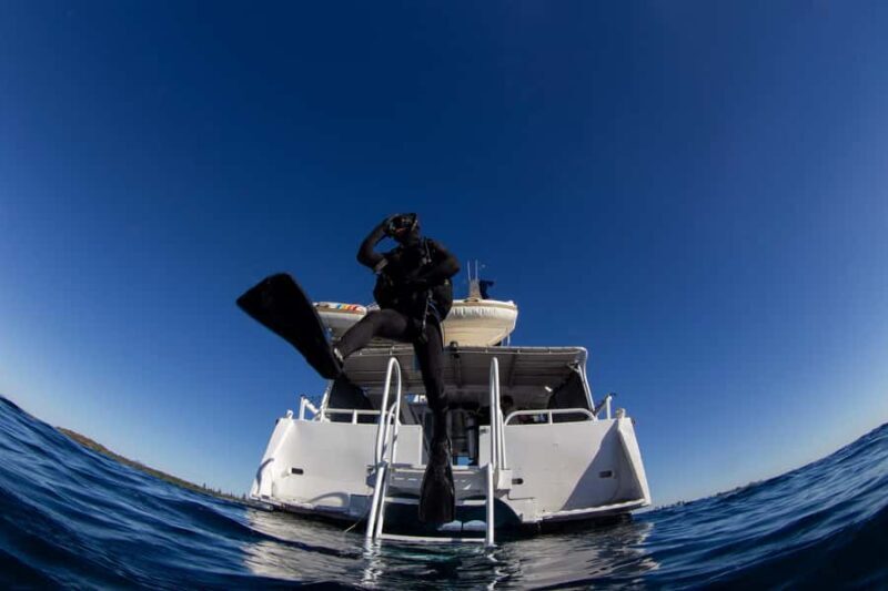 Gold Coast: SSI Open Water Diver Course - The Educational Experience 