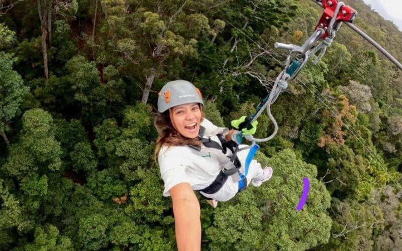 Gold Coast: Tamborine Mountain Canyon Flyer Zipline Tour - Key Points