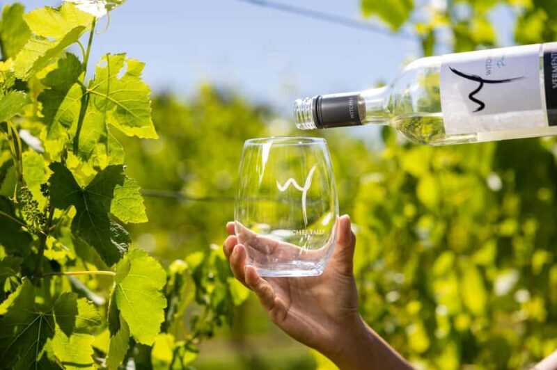 Gold Coast: Tamborine Mountain Local Winery Tour with Lunch - Who Should Consider This Tour?