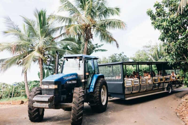 Gold Coast: Tropical Fruit World Full Farm Tour - Who Should Consider This Tour?