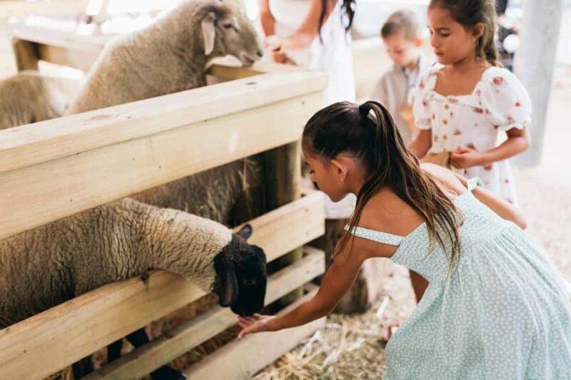 Gold Coast: Tropical Fruit World Full Farm Tour - FAQ