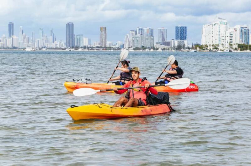 Gold Coast: Wave Break Island Kayaking & Snorkeling tour - The Sum Up: Who Should Consider This Tour?