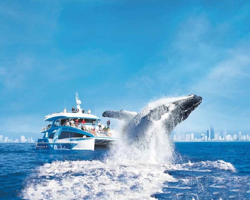 Gold Coast: Whale Watching Cruise & Sea World Entry - The Experience at Sea World