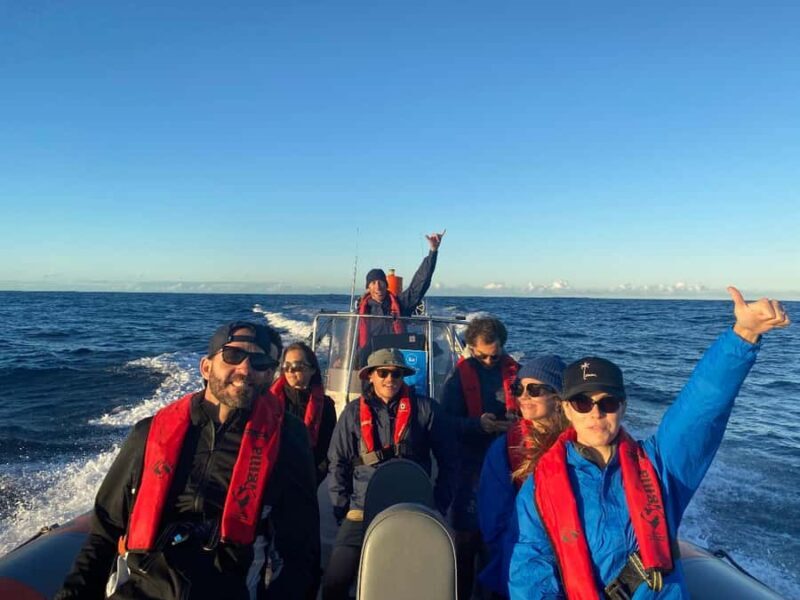 Gold Coast: Whale Watching - Why This Tour Stands Out