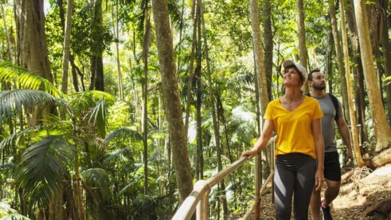 Gold Coast: Wine, Distillery & Rainforest Day Tour - A Full Day of Natural Beauty and Tasting Experiences