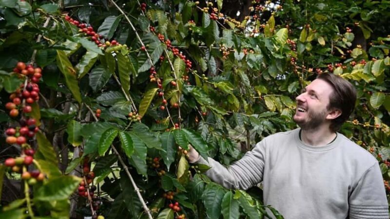 Gold Coast: Wine, Distillery & Rainforest Day Tour - Final Thoughts: Who Will Love This Tour?