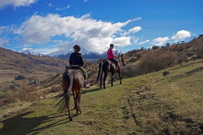 Gold Discovery Trail Horse Trek Cardrona - Most popular! - An In-Depth Look at the Cardrona Horse Trek Experience