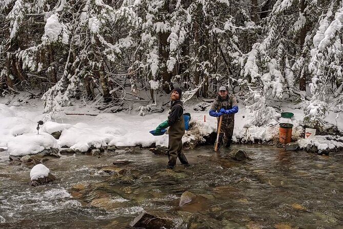 Gold Panning Activity at Mission Creek - Exploring the Gold Panning at Mission Creek