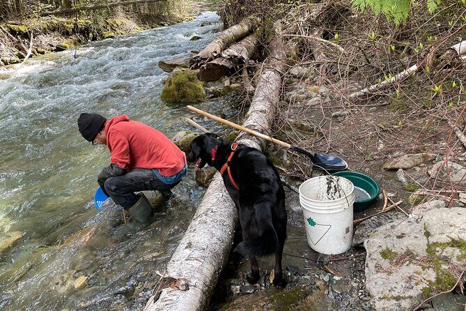 Gold Panning Activity at Mission Creek - Who Should Consider This Tour?