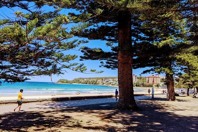 Golden Beaches and Ocean Vistas MANLY AND NORTHERN BEACHES PRIVATE TOUR - Key Points