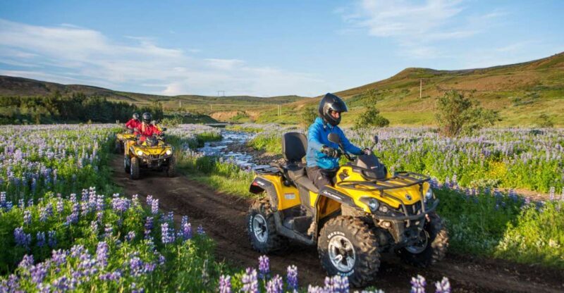 Golden Circle and ATV: Full-Day Combo Tour from Reykjavík - Who Should Consider This Tour?