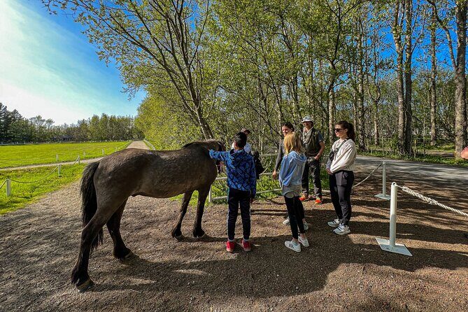 Golden Circle and Lunch at Fridheimar Tomato Farm - with photos - FAQs