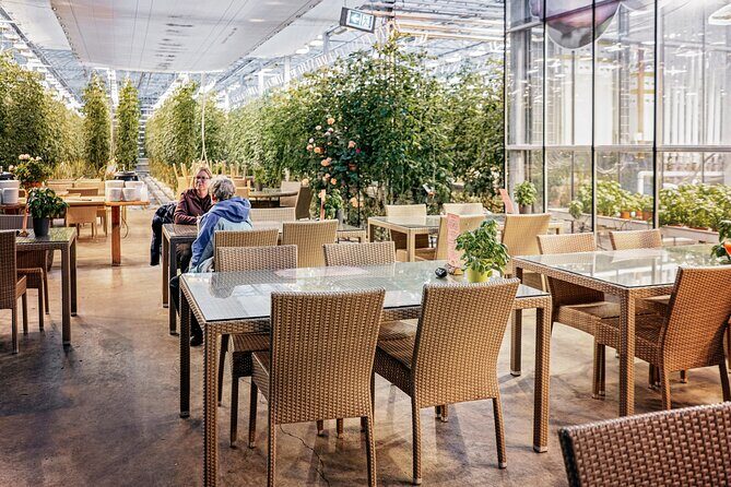 Golden Circle Day Tour in Mini Bus from Reykjavik with Fridheimar Tomato Farm - Kerid Crater: A Volcanic Wonder