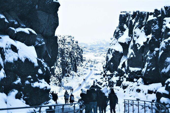 Golden Circle, Fridheimar Farm & Horses Small Group Tour from Reykjavik - Who Will Love This Tour?