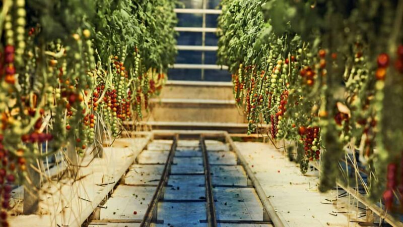 Golden Circle & Kerid Crater Small Group Tour from Reykjavik - Who Would Love This Tour?