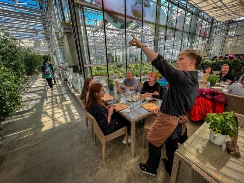 Golden Circle & Lunch at Fridheimar Tomato Farm- with photos - Final Thoughts: Who Is This Tour Best For?