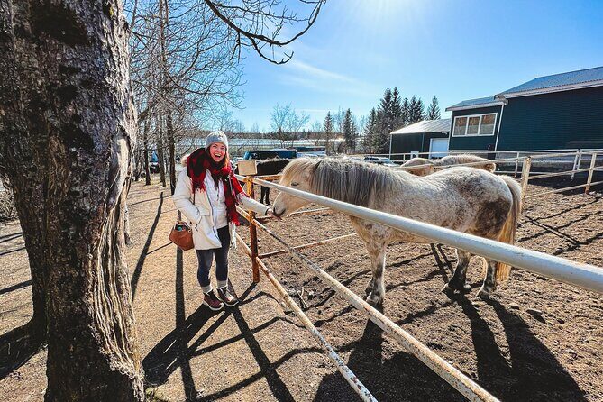 Golden Circle Silfra Snorkeling and Fridheimar Tomato Farm Lunch - Summary: Why This Tour Is a Great Choice