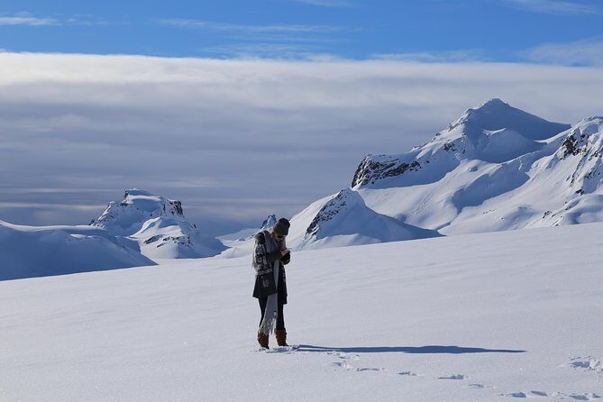 Golden Circle Small-Group Tour by Superjeep from Reykjavik - Who Should Book This Tour?