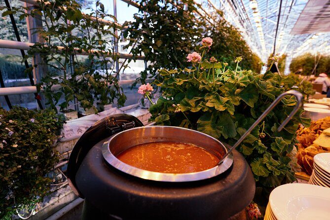 Golden Circle with Tomato Farm Lunch & Secret Lagoon Bathing - Final Reflection