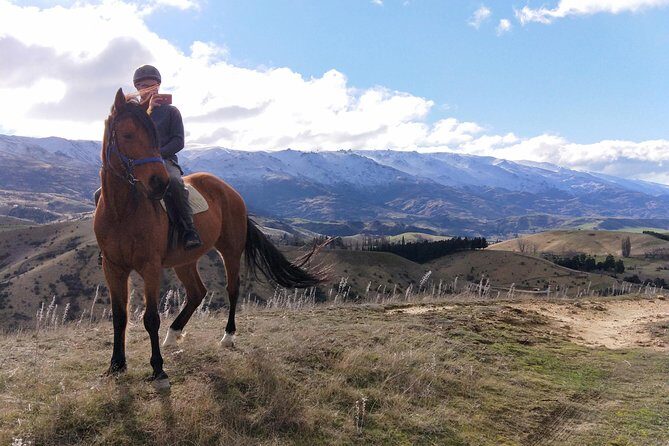 Golden Hills Horse Trek in Central Otago - The Experience: What You Can Expect  