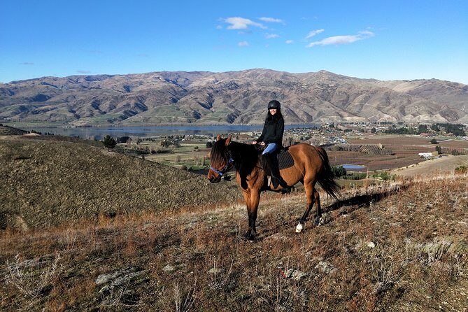 Golden Hills Horse Trek in Central Otago - Deep Dive into the Itinerary  