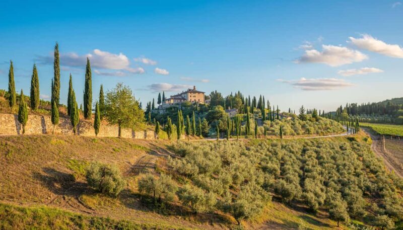 Golf Cart Tour: Express Highlights of Florence - FAQ