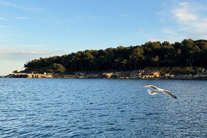 Golf Juan Sunset Sailing Cruise with aperitif at the Island - Final Thoughts