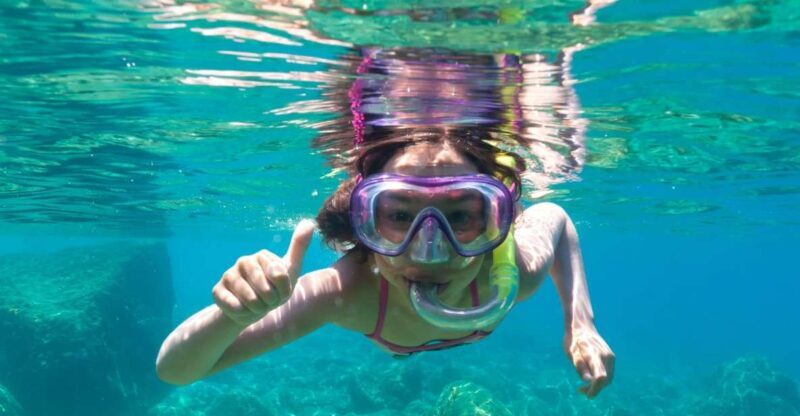 Golfo Aranci: Dolphin Watching and Snorkeling Boat Tour - The Sum Up