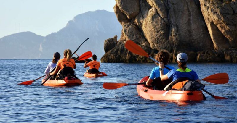 Golfo Aranci: Kayak Tour with Dolphins and Aperitif - Introduction
