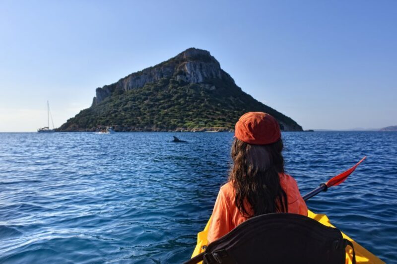 Golfo Aranci: Kayak Tour with Dolphins and Aperitif - The Itinerary and Experience Breakdown