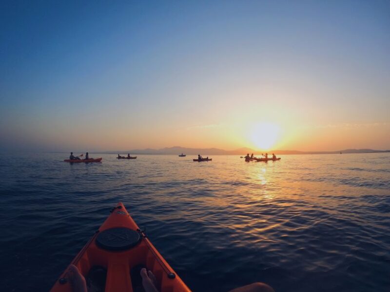 Golfo Aranci: Kayak Tour with Dolphins and Aperitif - The Sum Up