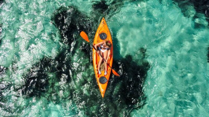 Golfo Aranci: Kayak Tour with Dolphins and Aperitif - FAQ