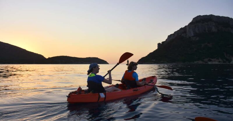 Golfo Aranci: Sunrise Dolphin Kayak Tour with Breakfast - Key Points