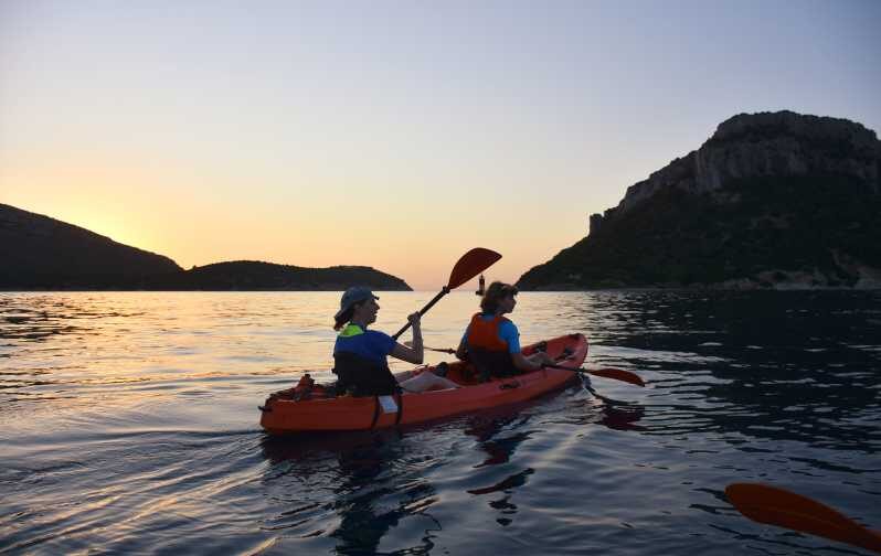 Golfo Aranci: Sunrise Dolphin Kayak Tour with Breakfast - Who Will Love This Tour?