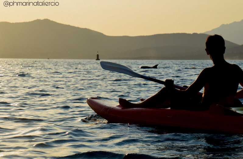 Golfo Aranci: Sunset Dolphin Kayak Tour with Aperitif - Detailed Itinerary and Experience Breakdown