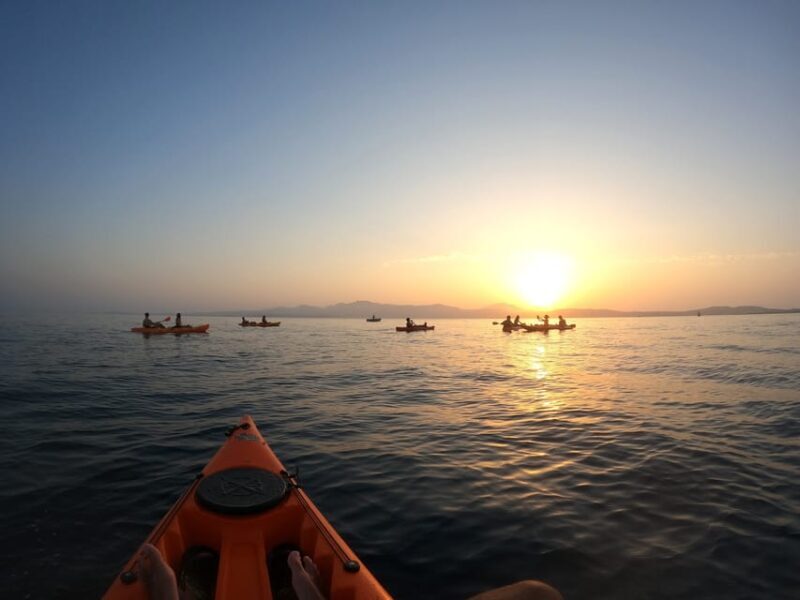 Golfo Aranci: Sunset Dolphin Kayak Tour with Aperitif - FAQ